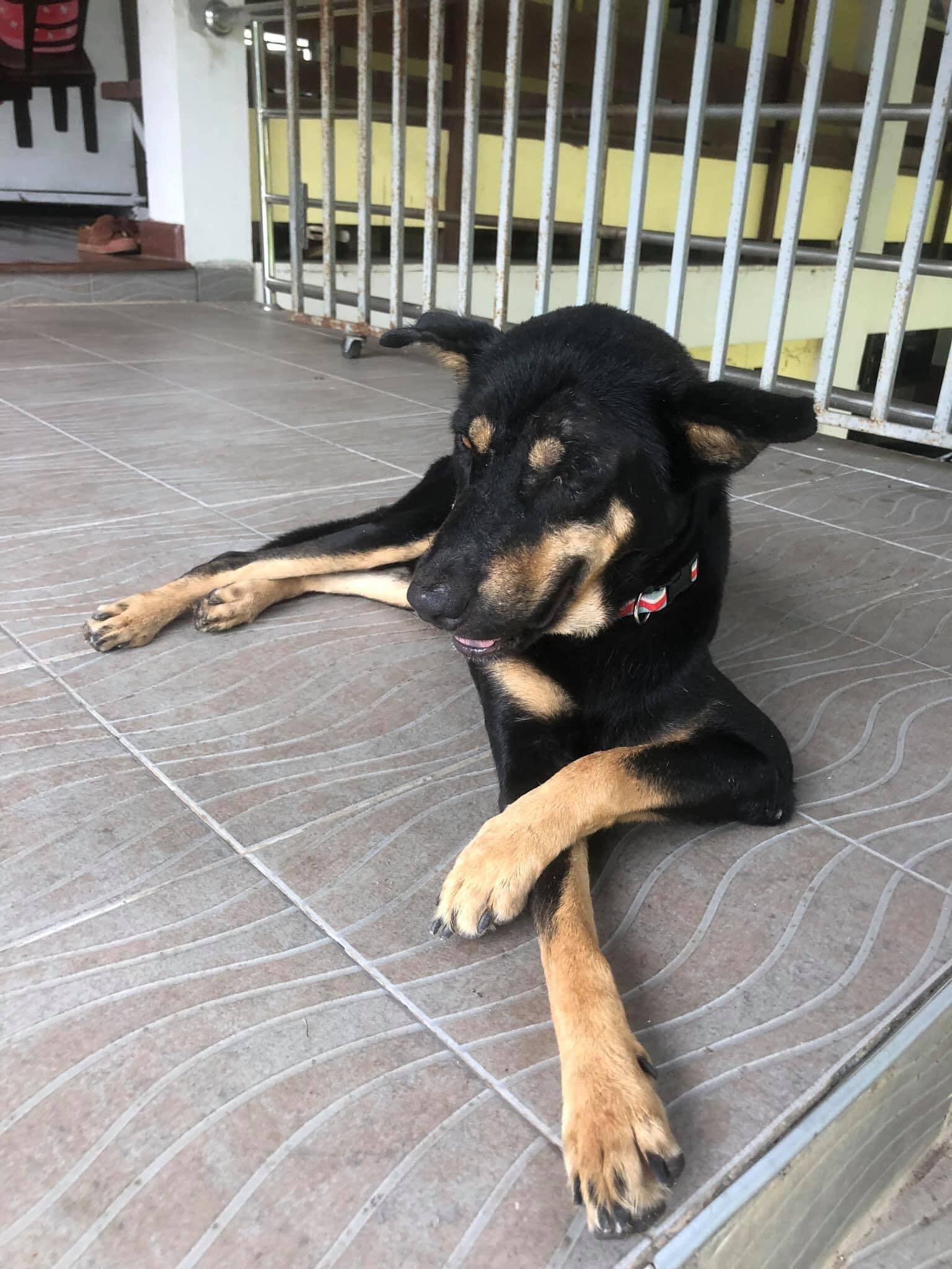 The Beauty of a Scar – Twenty Seconds to Blink